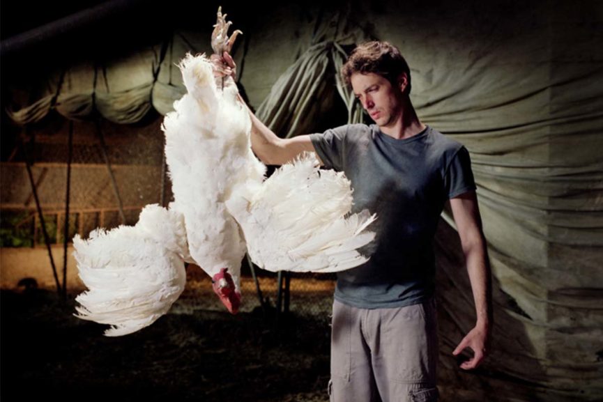 Contemporary Israeli Artists You Need to Know About | Widewalls