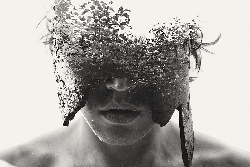 Christoffer Relander: Symbiosis | Widewalls