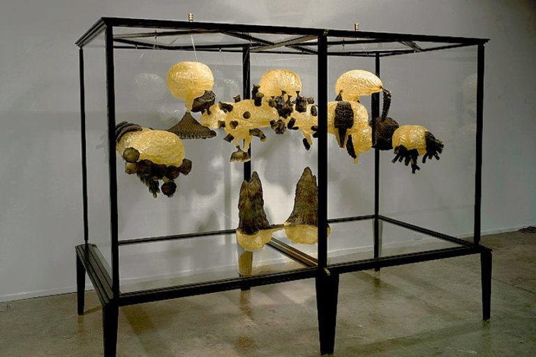 Biography of Fiona Hall | Widewalls