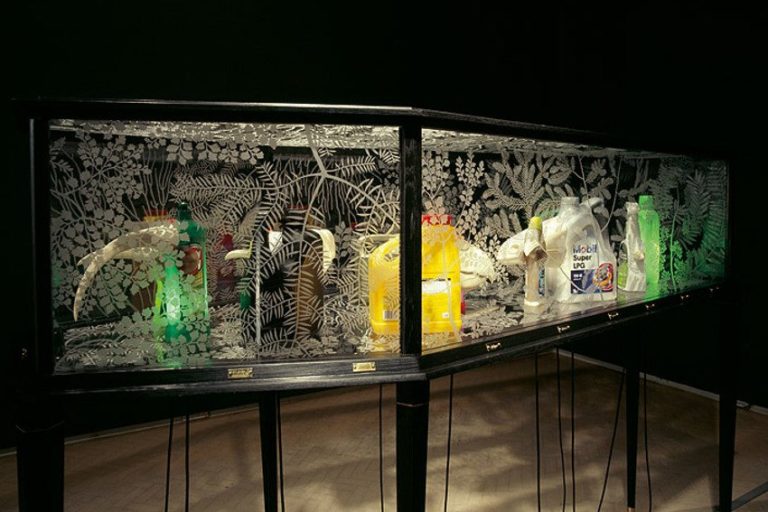 Biography of Fiona Hall | Widewalls