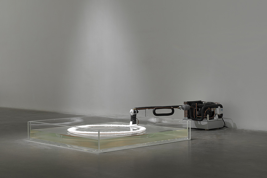 Not To Miss in NYC This Winter – Hans Haacke at New Museum | Widewalls