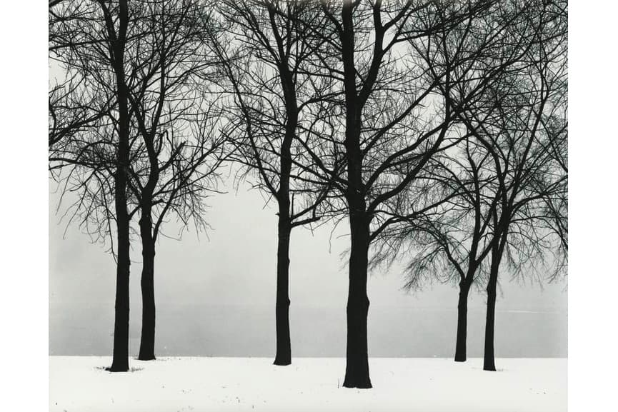 Harry Callahan’s Visual Autobiography at Huxley-Parlour | Widewalls