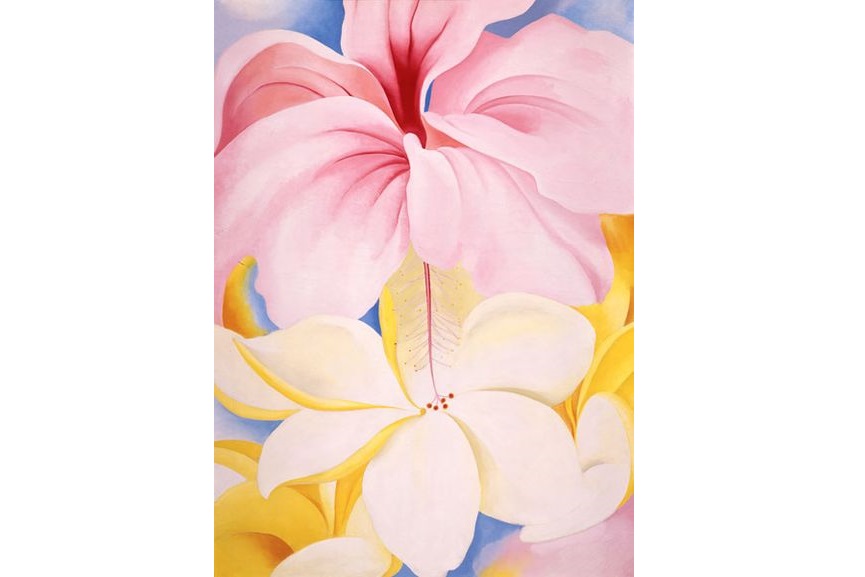 The Most Sensual Georgia O’Keeffe Flowers on Canvas | Widewalls