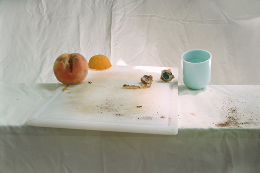 Biography of Laura Letinsky | Widewalls