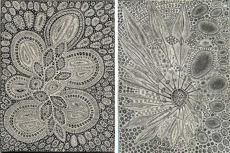 The Secrets of Whispers in Howard Gross Exhibition at Causey ...