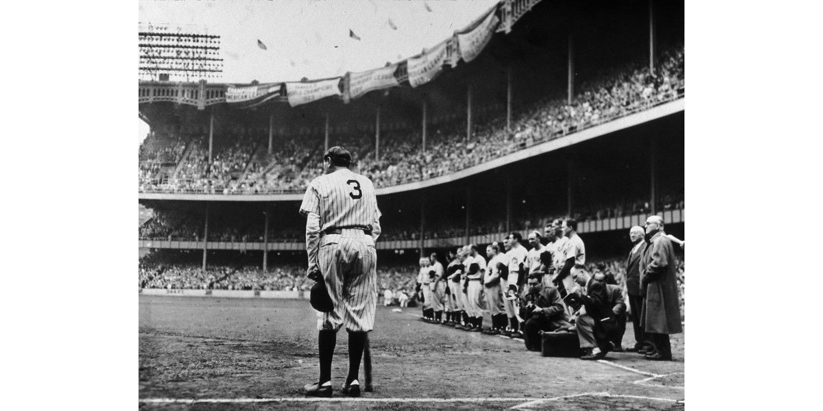 Nat Fein | WideWalls