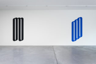 About the Ambiguity of Forms – Terry Haggerty in an Interview | Widewalls