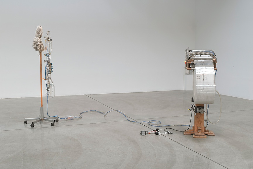 Tim Hawkinson Retrospective is Opening At PACE Gallery | Widewalls