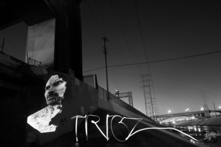 The Murder of Trigz | Widewalls