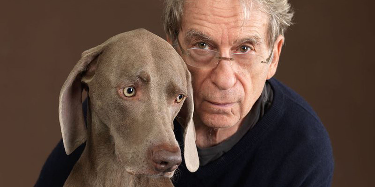 William Wegman William Wegman