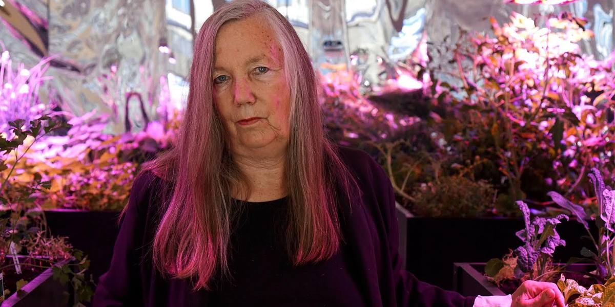 Biography of Meg Webster | Widewalls